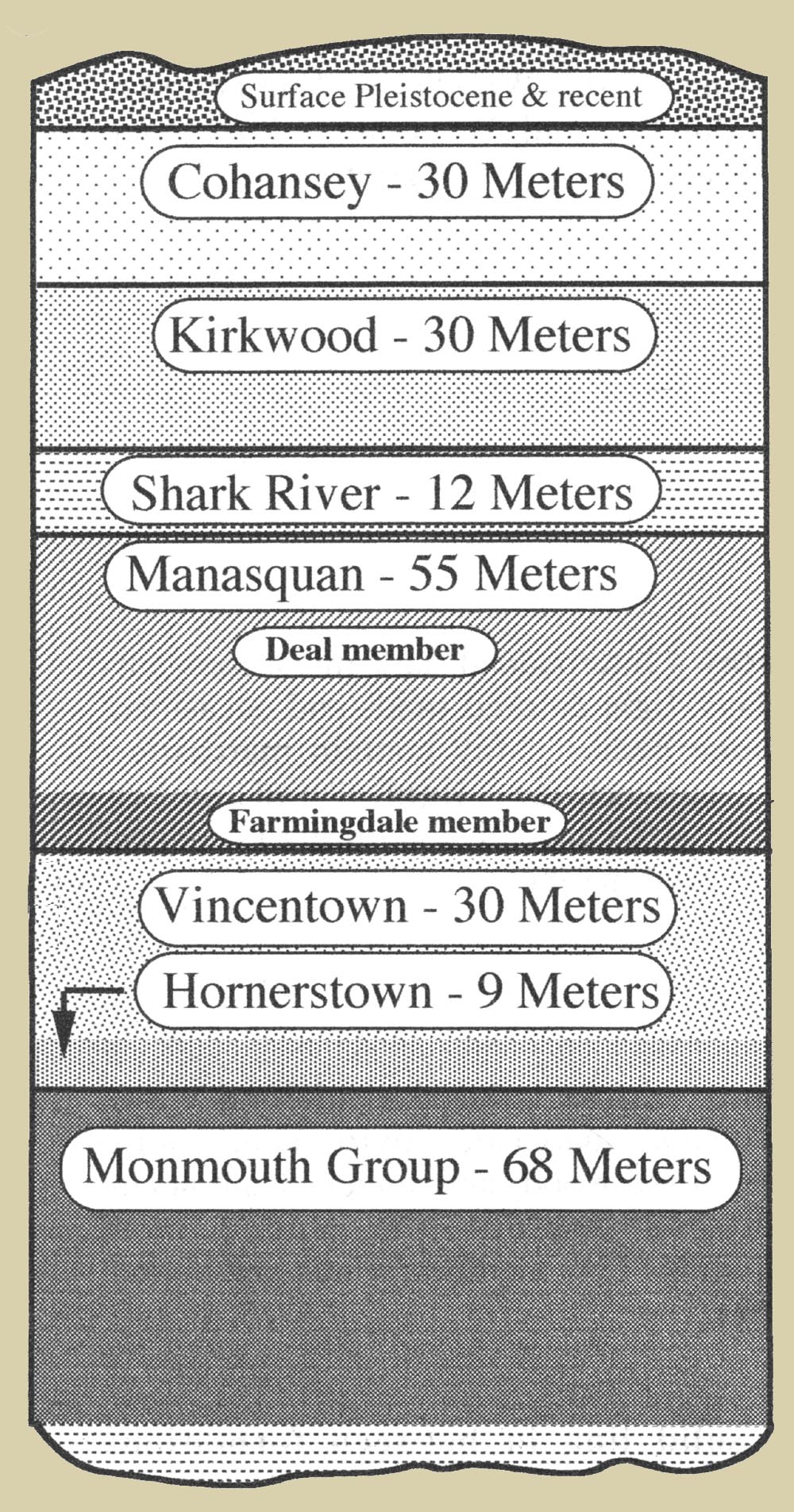 New Jersey Fossil Web Site